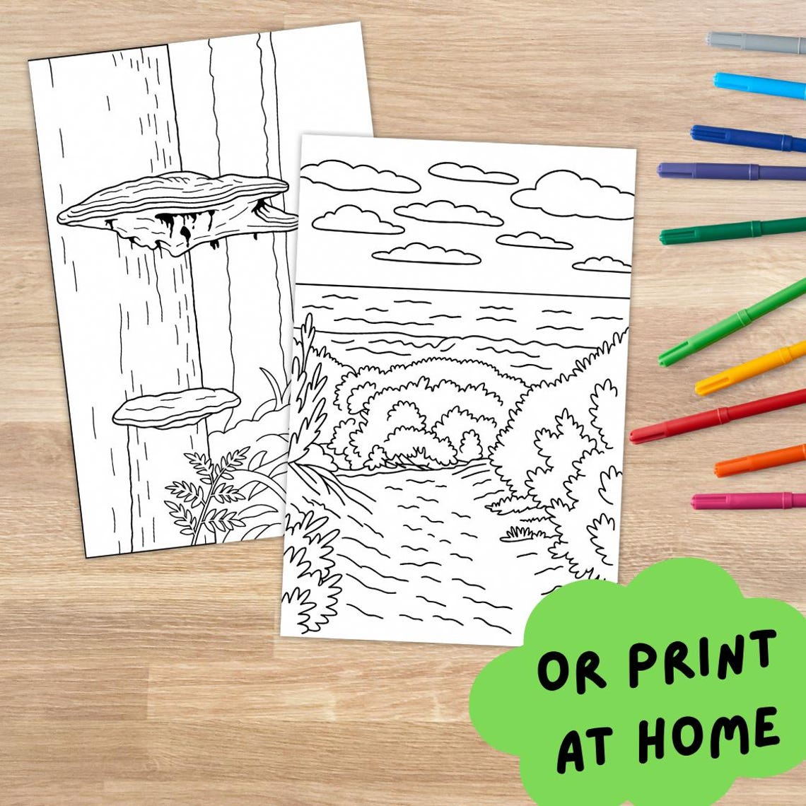 Australian Nature Coloring Pages: Aussie Flora & Landscapes (33 Page ...
