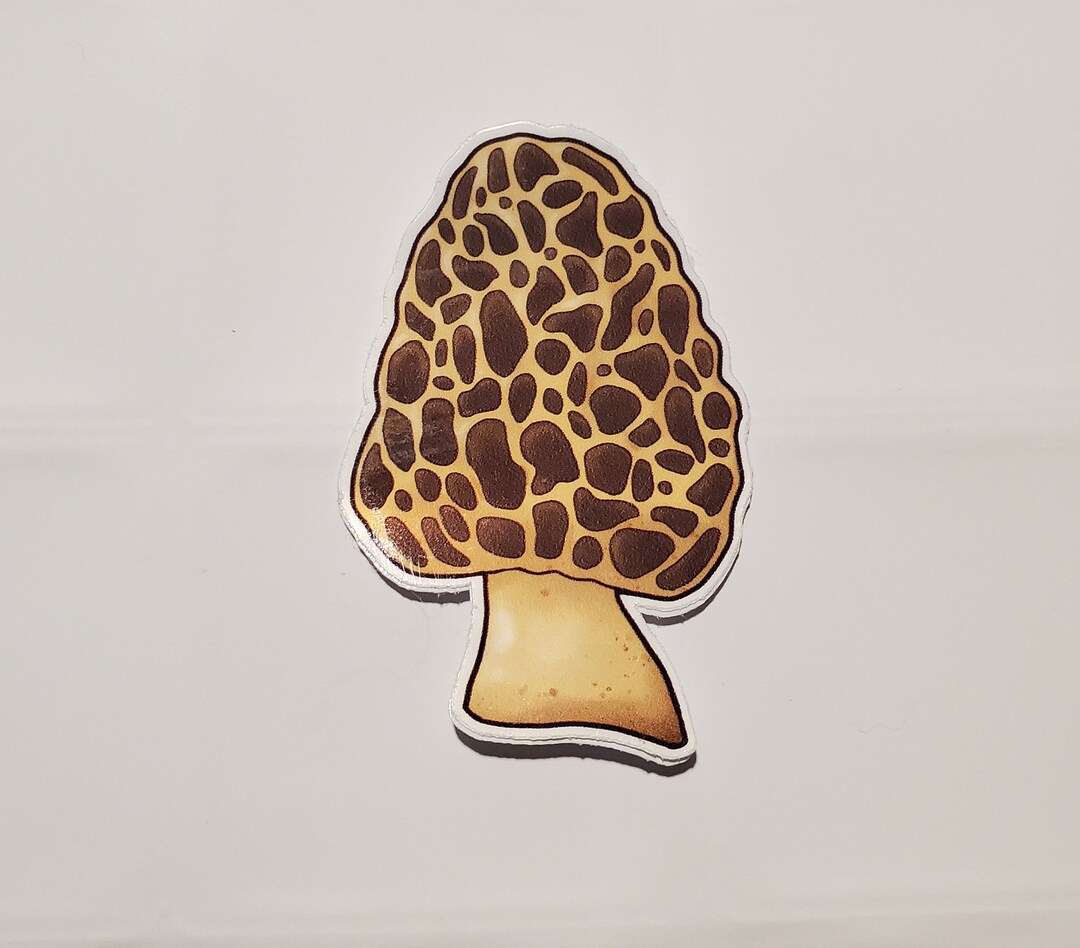 Morel Mushroom Sticker - Etsy