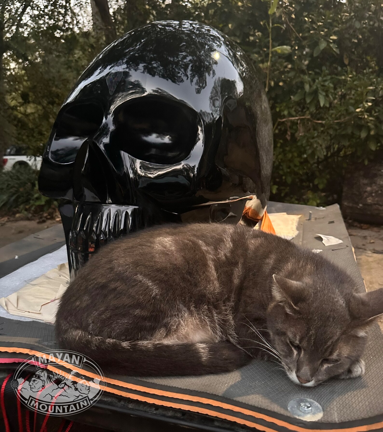 325 Lbs WORLDS LARGEST Obsidian SKULL // Mexican Opal Inlay // Carved ...