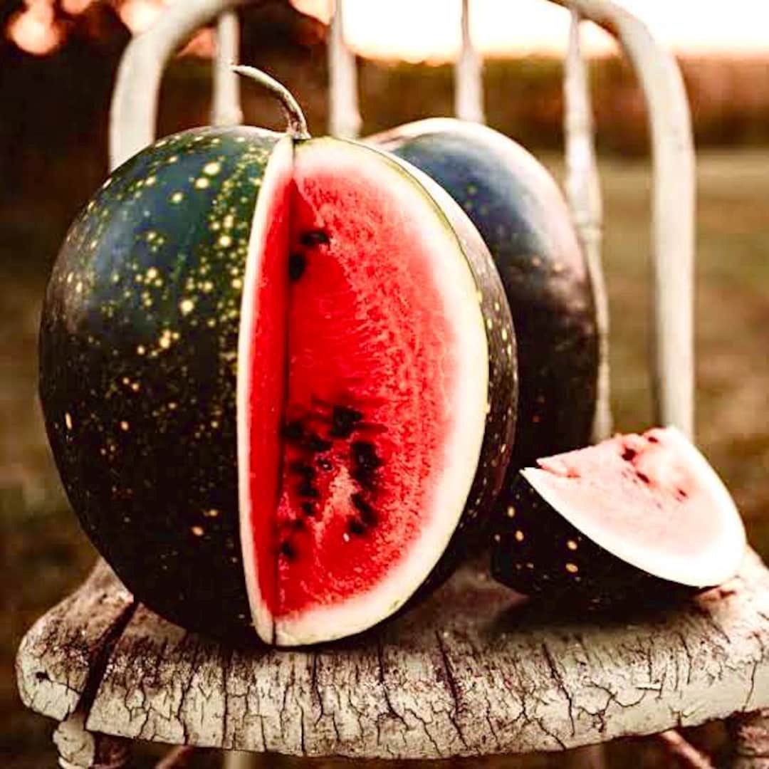 30 Moon and Stars Red Cherokee Watermelon Seeds Unique Skin Non Gmo ...