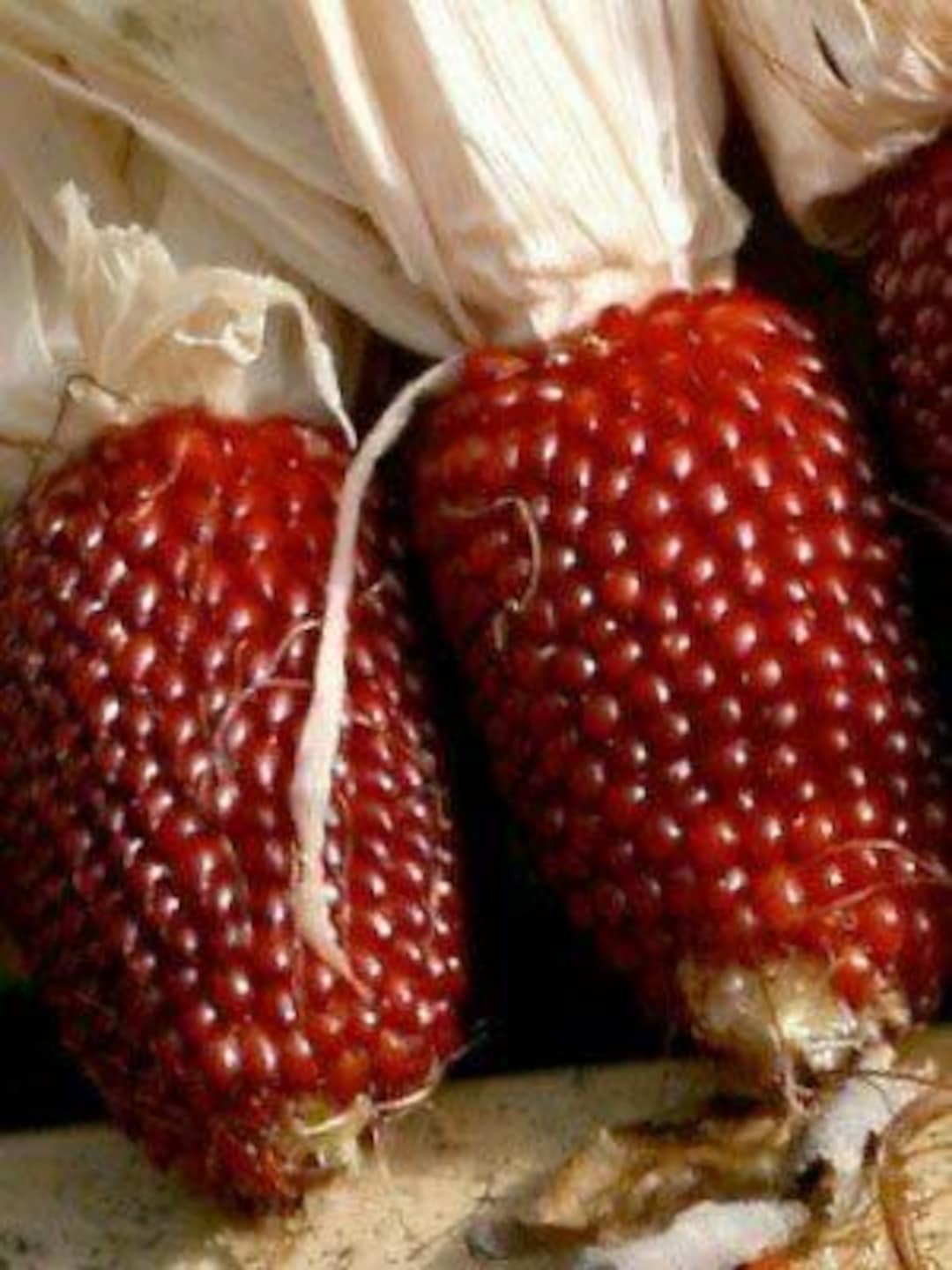 100 Strawberry Rare Ruby Corn Seeds Spring Sweet Heirloom Non-gmo ...