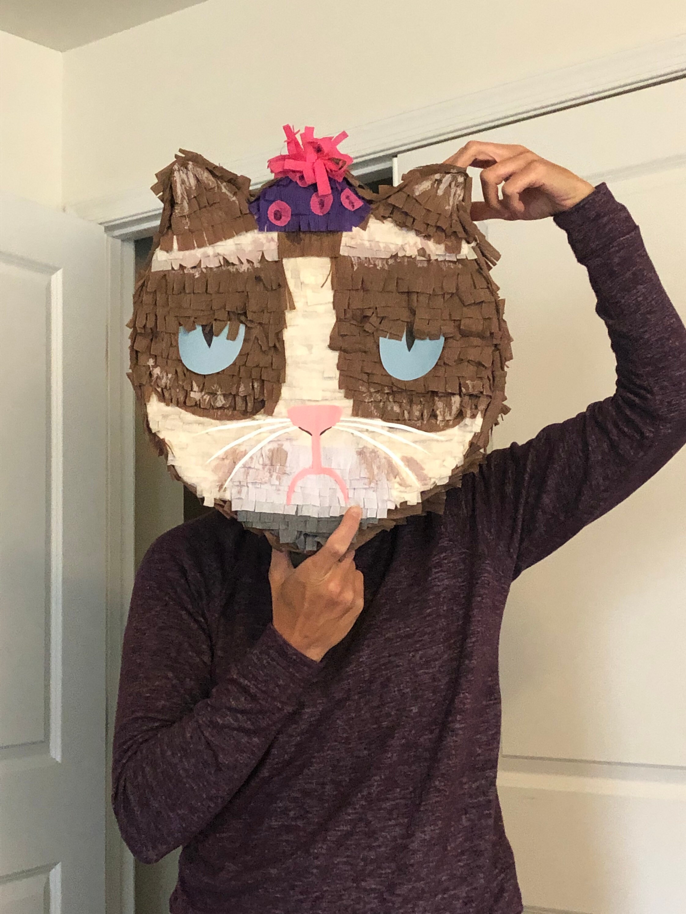 Grumpy Cat Pinata - Etsy