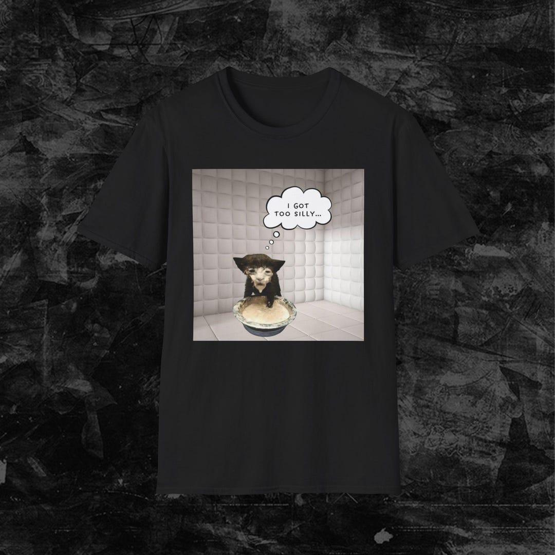 Funny Gen Z Black Cat Meme Got Too Silly Cram Brainrot T Shirt - Etsy