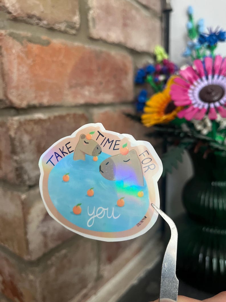 Capybara Glossy Vinyl Sticker, Take Time for You - Etsy
