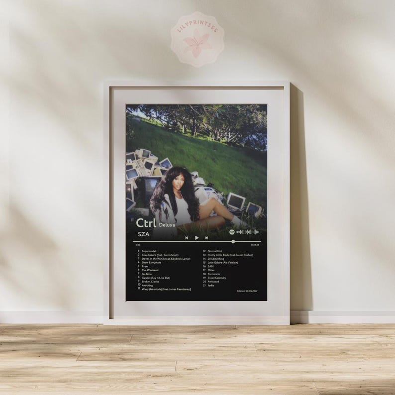 SZA Ctrl Deluxe Album Cover Poster – Aesthetic Music Wall Art ...