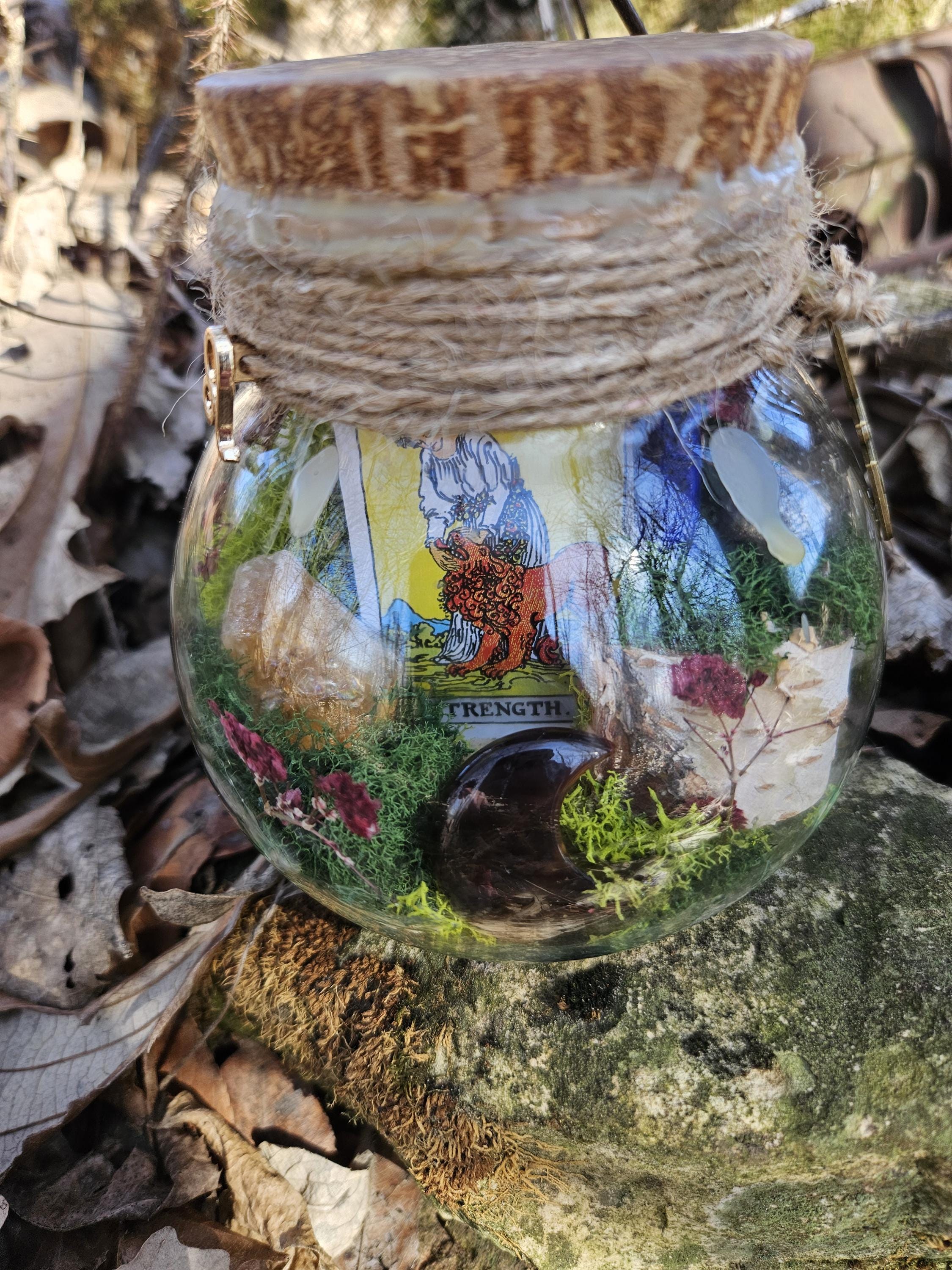Leo Strength Tarot Card Terrarium: Moss, Crystals & Dried Flowers - Etsy