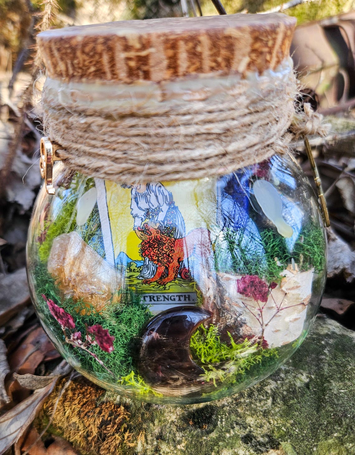 Leo Strength Tarot Card Terrarium: Moss, Crystals & Dried Flowers - Etsy