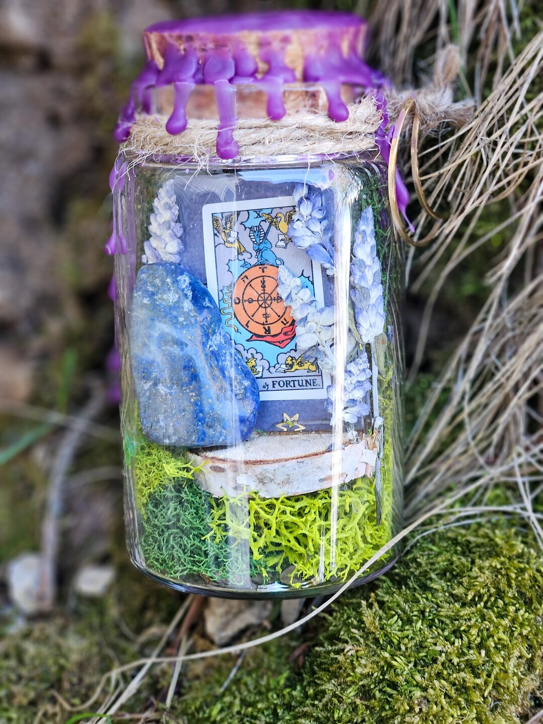 The Wheel of Fortune Mini Tarot Card Terrarium. Tarot Artwork, Tarot ...