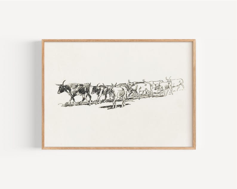 Vintage Cattle Herd Sketch Antique Drawing Rustic Western Decor ...