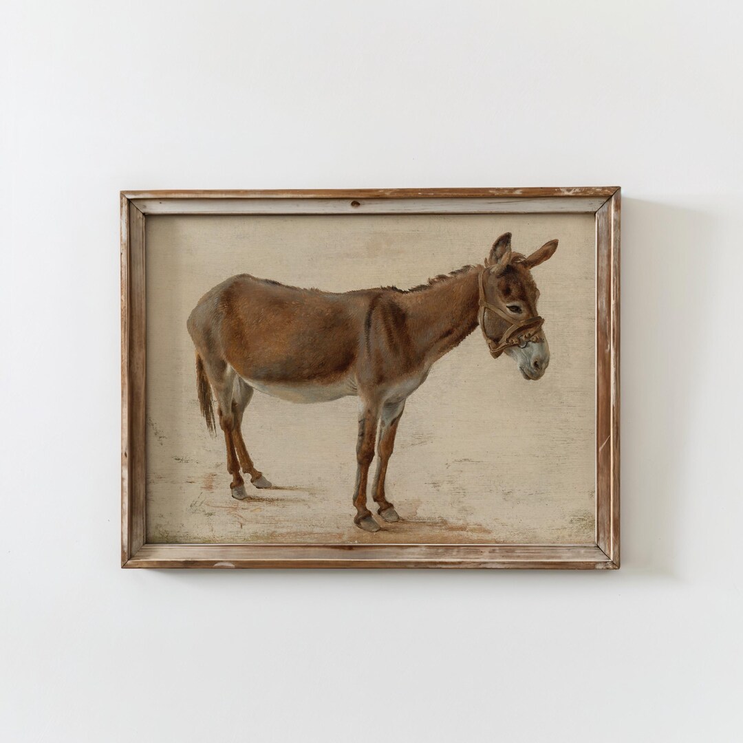 Vintage Donkey Wall Art Rustic Farm Animal Print Antique Country ...