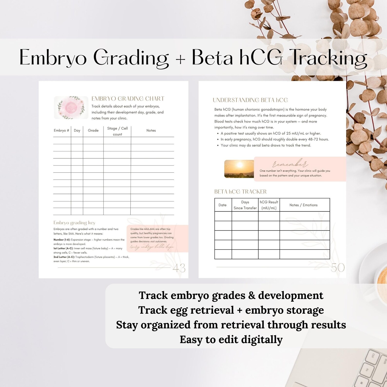 IVF Planner and Journal | Digital and Printable IVF Workbook ...