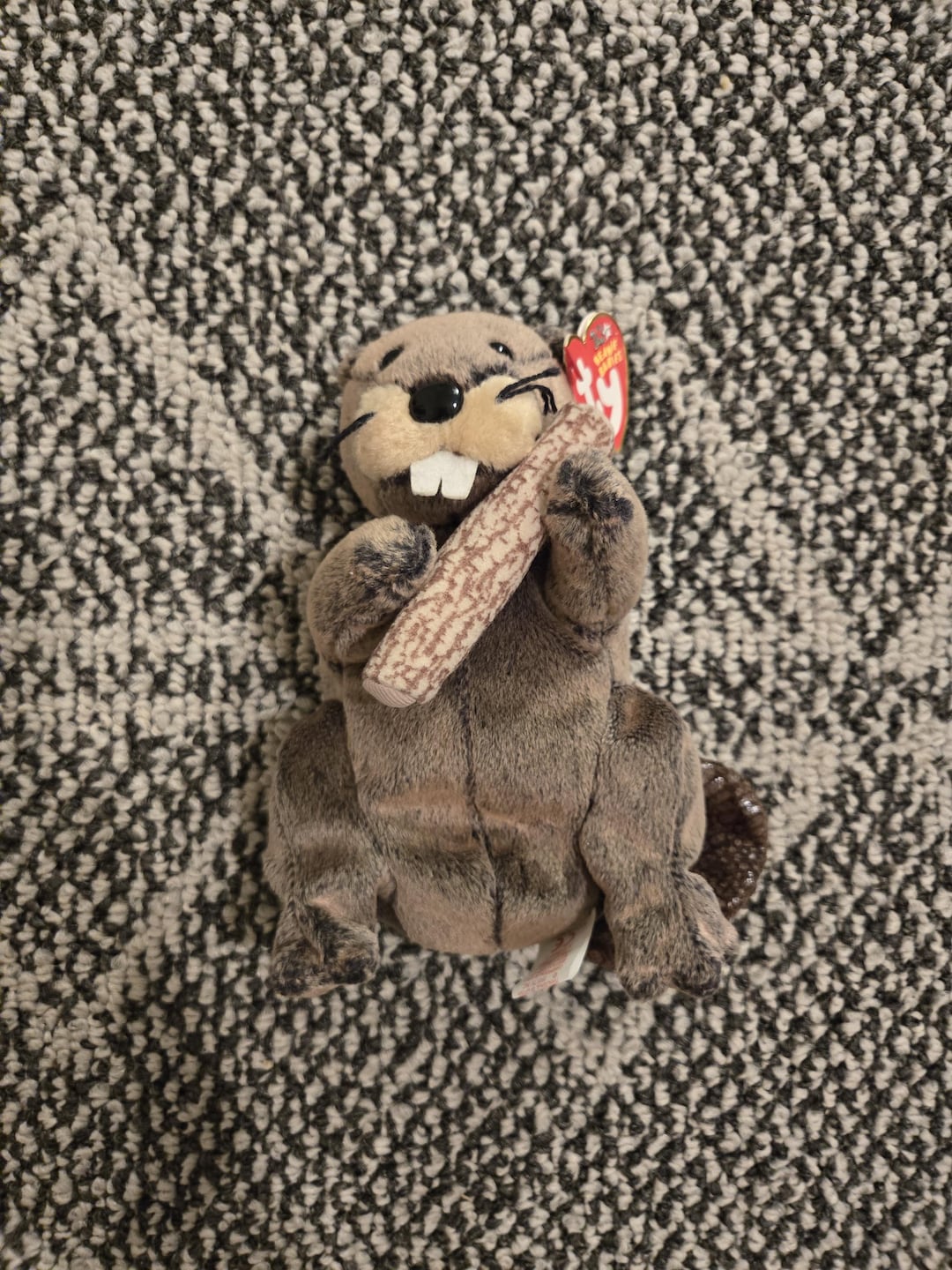 Vintage 10 Year Anniversary Beaver Beanie Baby - Etsy