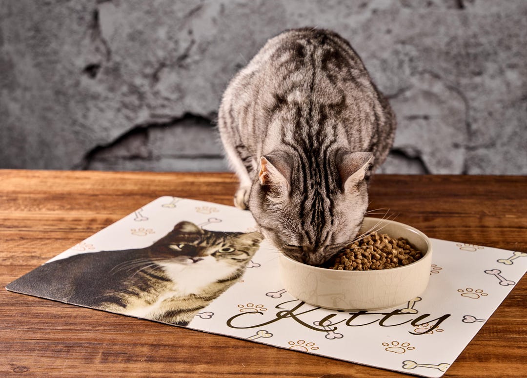 Custom Pet Placemat, Personalized PU Leather Dog Cat Feeding Mat - Etsy
