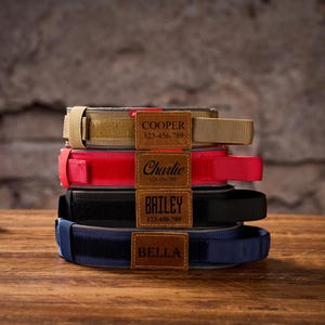 Tactipup Personalized Collar - Etsy