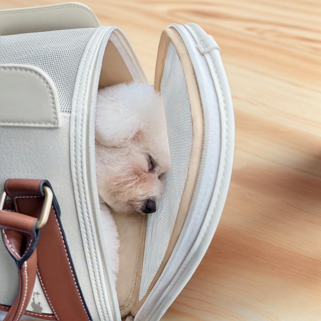 Personalized Pet Carry Bag, Customized Canvas Cat Carrier Bag ...