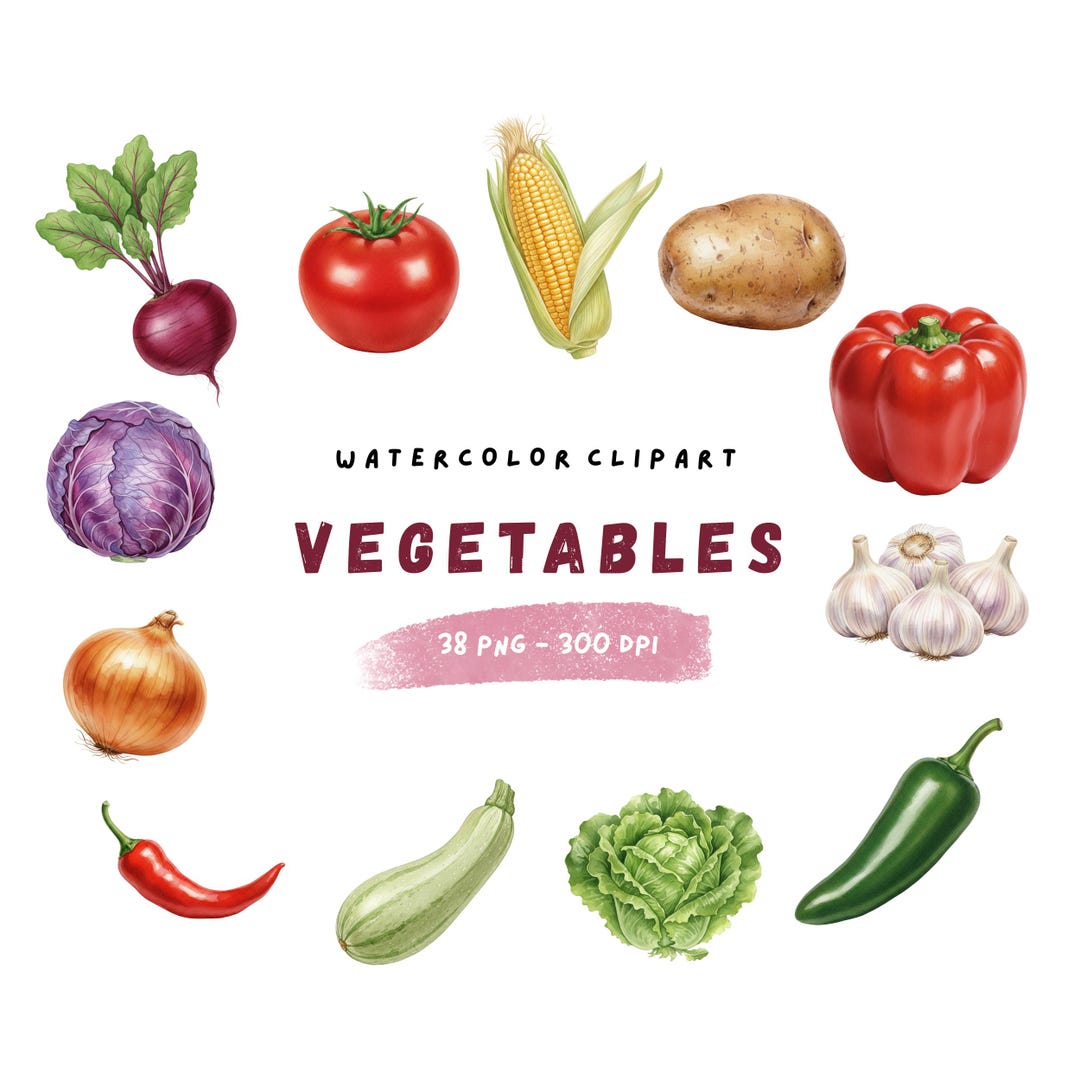 Watercolor Vegetable Clipart Bundle, Farm Fresh PNG Graphics (digital ...