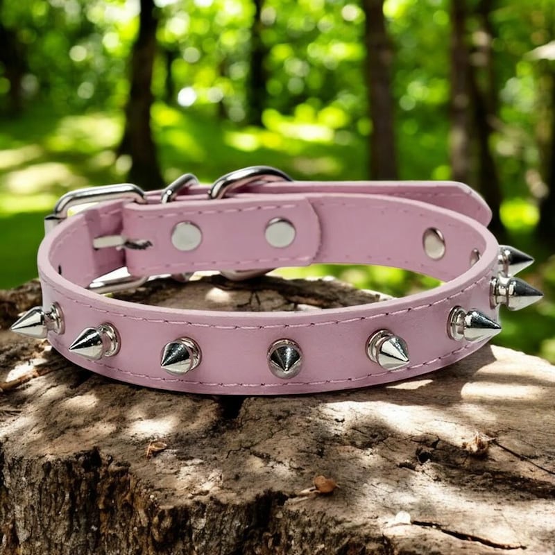 Small Dog Collar - Etsy