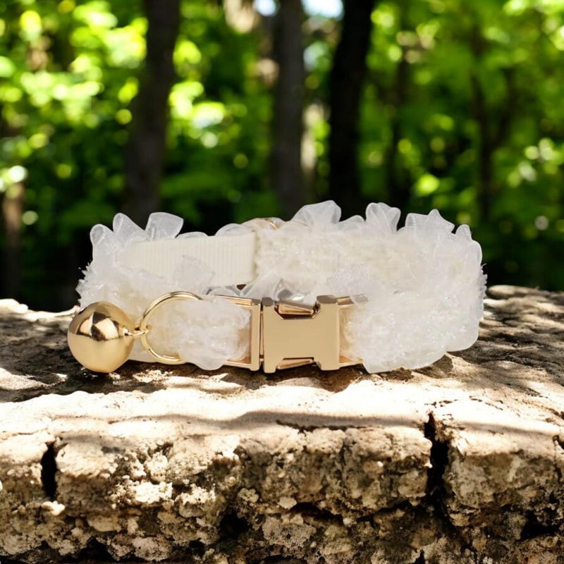 Lace Cat Collar - Etsy