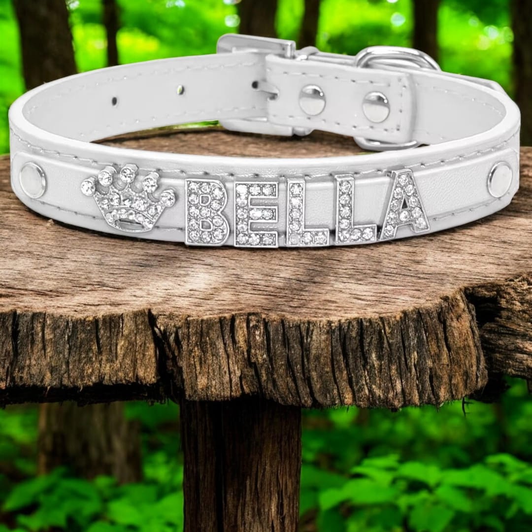 Personalized Rhinestone Pet Collar | Custom Name Bling Collar - Etsy