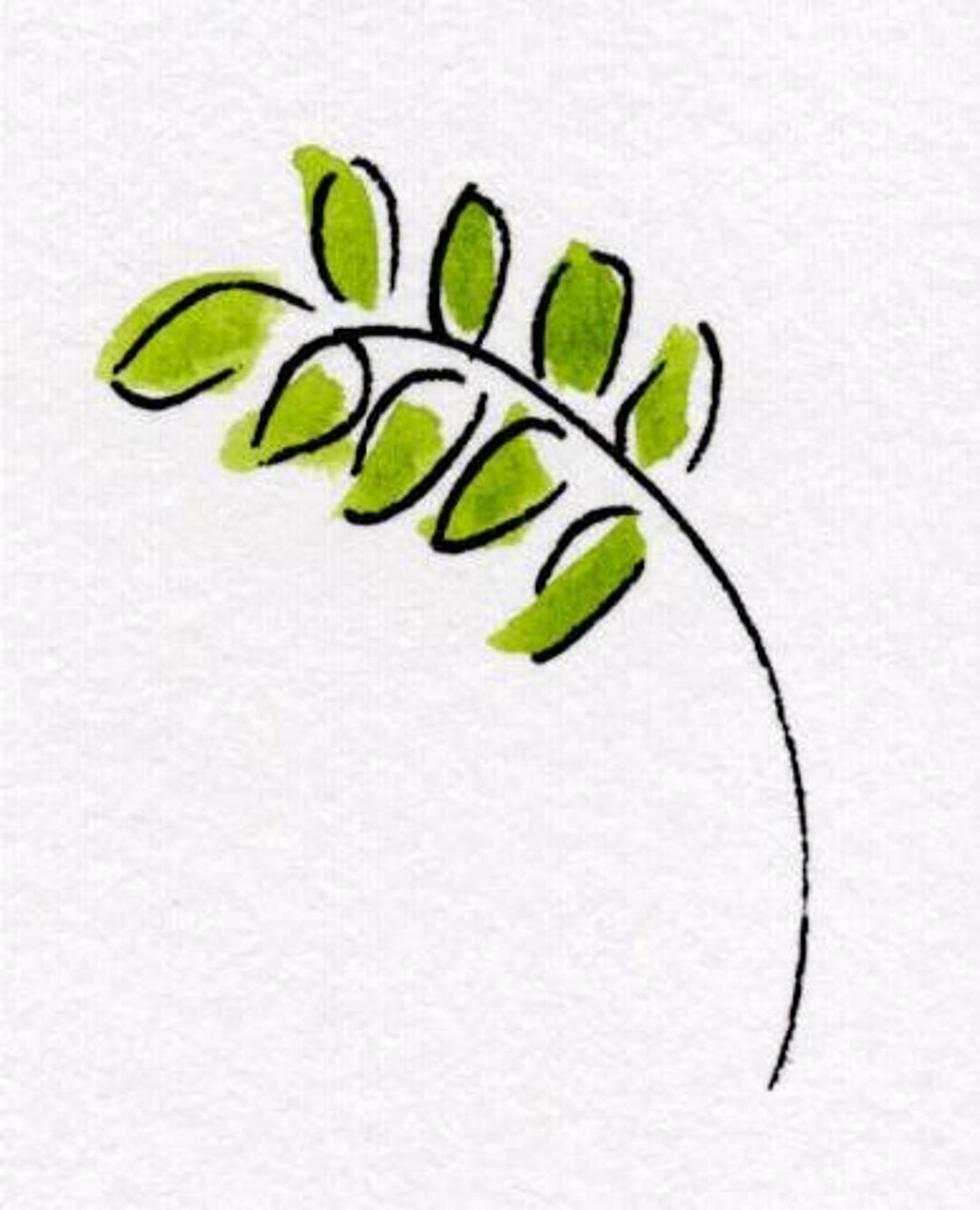 Printable Watercolor and Ink Branch With Green Leaves - Pinnately ...