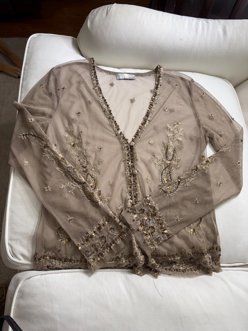 Sheer, Beige-colored Top With Long Sleeves and a V-neck Featuring Beads ...