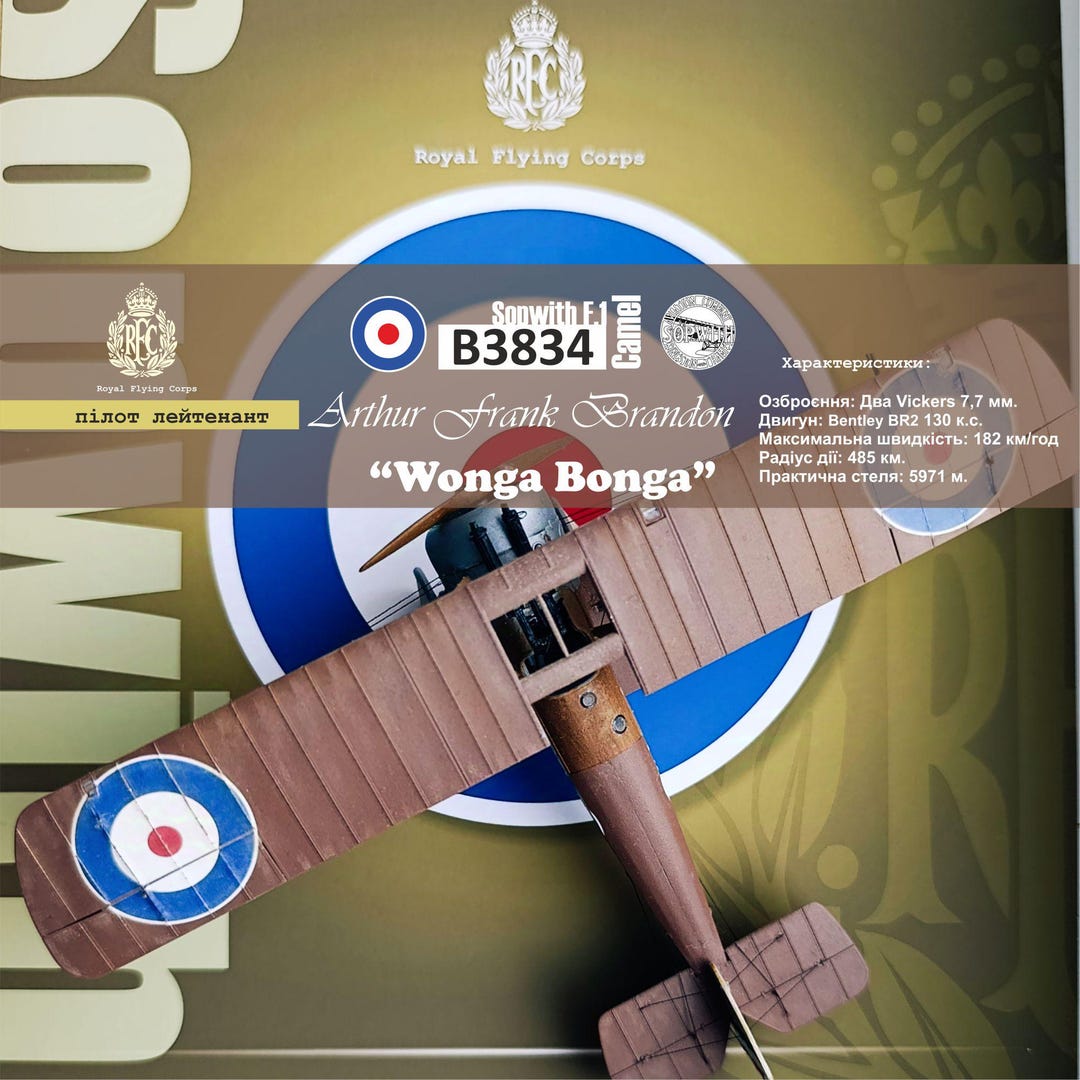 Sopwith Aircraft Model Painting - Etsy