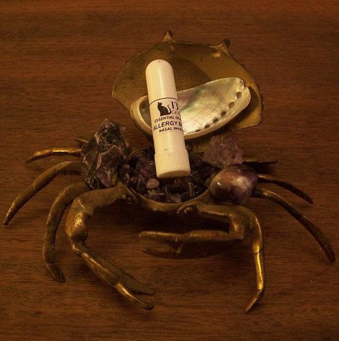 Allergy Bomb Nasal Inhaler - Etsy