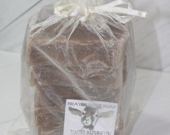 Maine Blueberry Grab Bag nope Soaps soap Pieces Irregular - Etsy