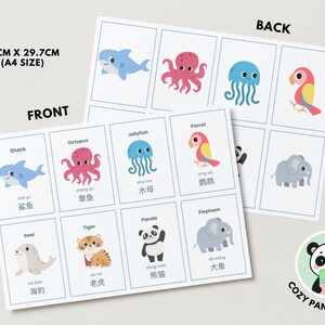 Chinese Printable Animal Flashcards With Pinyin and Chinese Characters ...