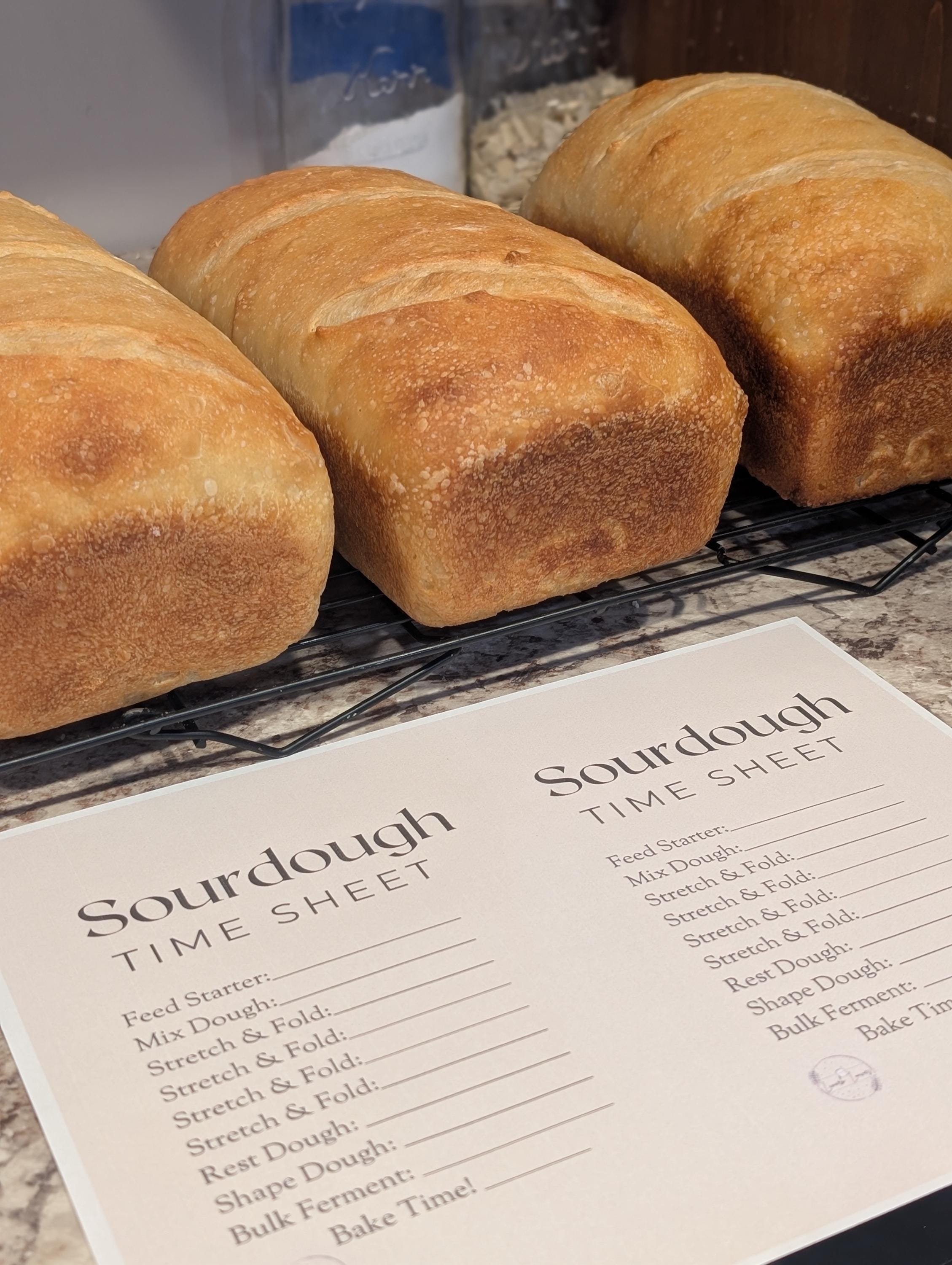 Sourdough Time Sheet - Etsy