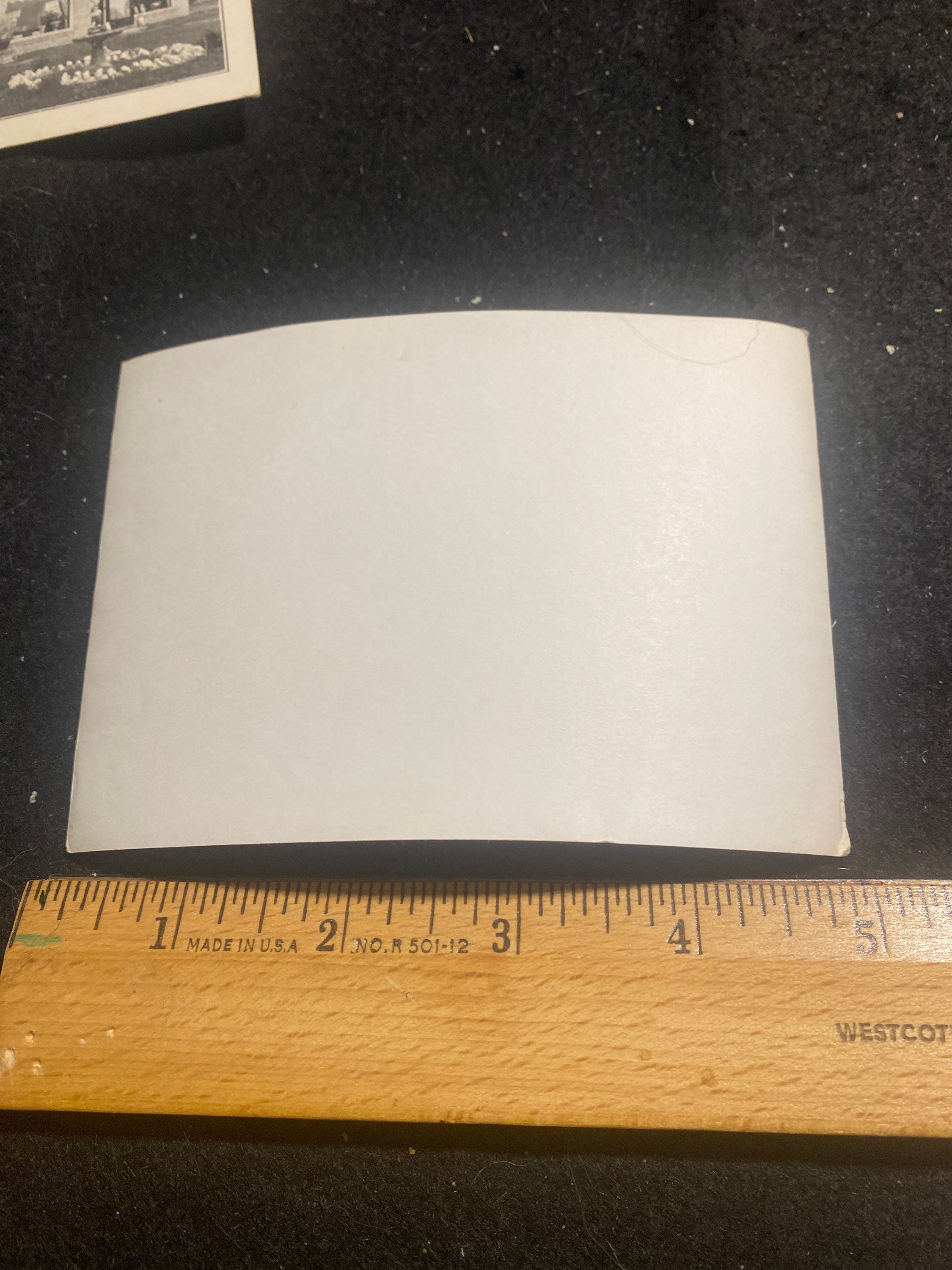 Roasting Your Wiener on the Beach Original Photo - Etsy