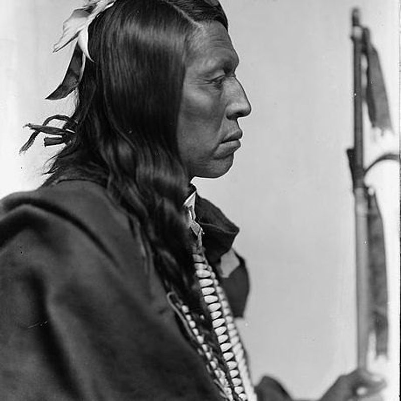Hawk Art Indian Art - Etsy
