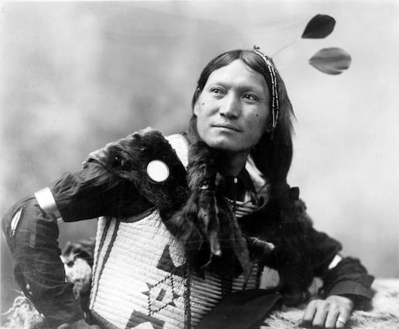 Sunflower American Indian Sioux Image 8 1/2 X 11 Image | Etsy