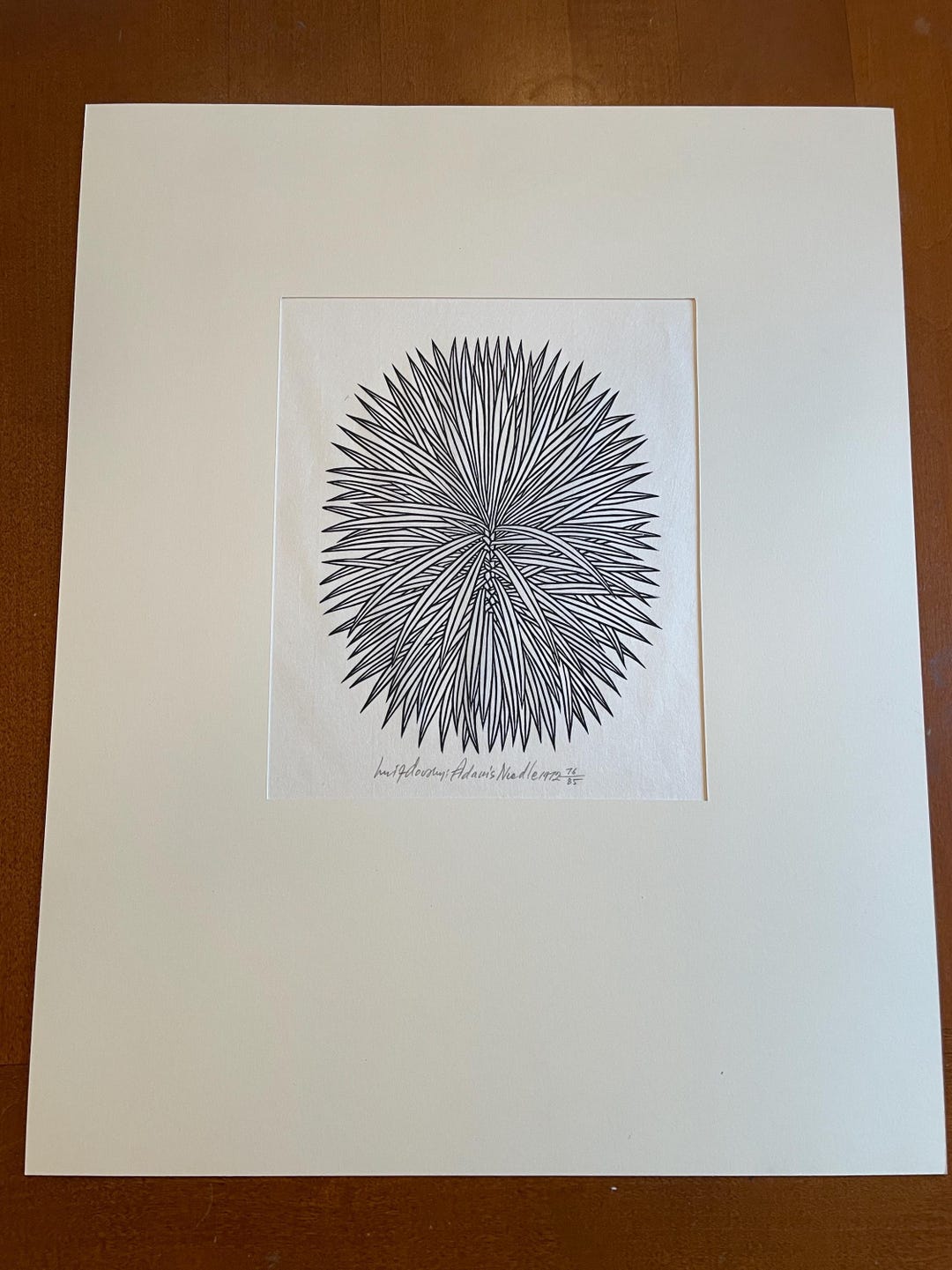 Jacques Hnizdovsky Hand Printed Original Woodcut "adam's Needle"1972 ...