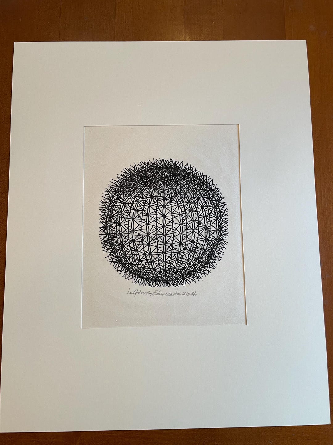 Jacques Hnizdovsky Hand Printed Original Woodcut Cactus Print 1972 ...