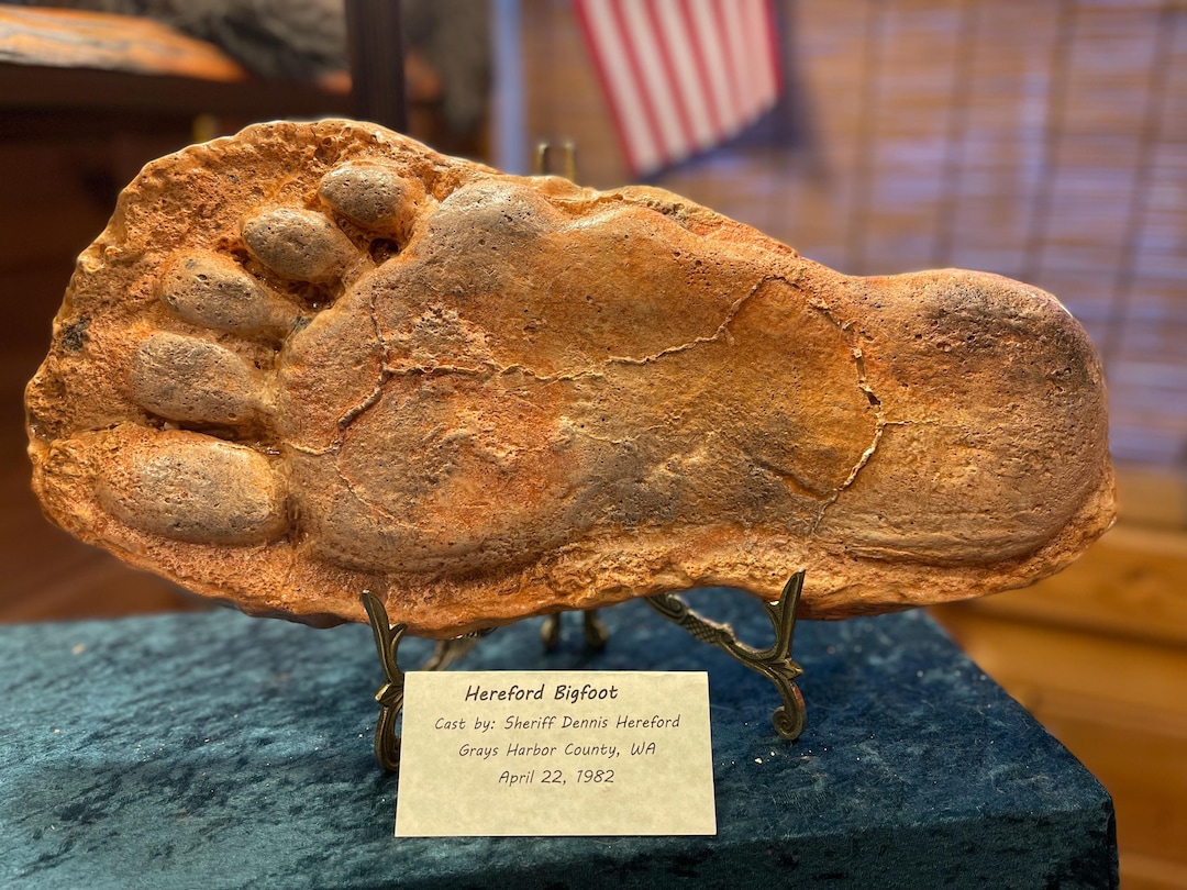 1982 Hereford Bigfoot Cast - Etsy