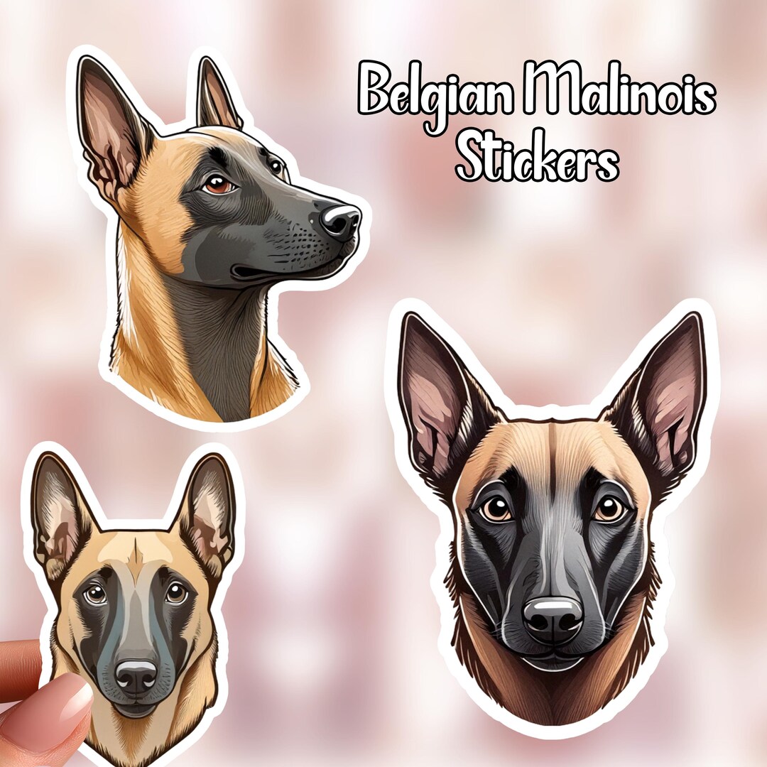 Belgian Malinois Vinyl Stickers | Laptop Sticker | Water Bottle Sticker ...