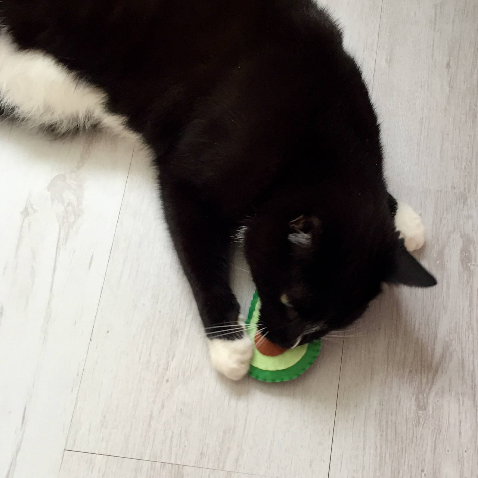 Avocado Felt Cat Toy handmade cat toy organic catnip vegan | Etsy