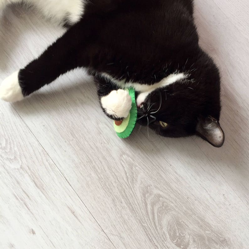 Avocado Felt Cat Toy Handmade Cat Toy Organic Catnip Vegan - Etsy