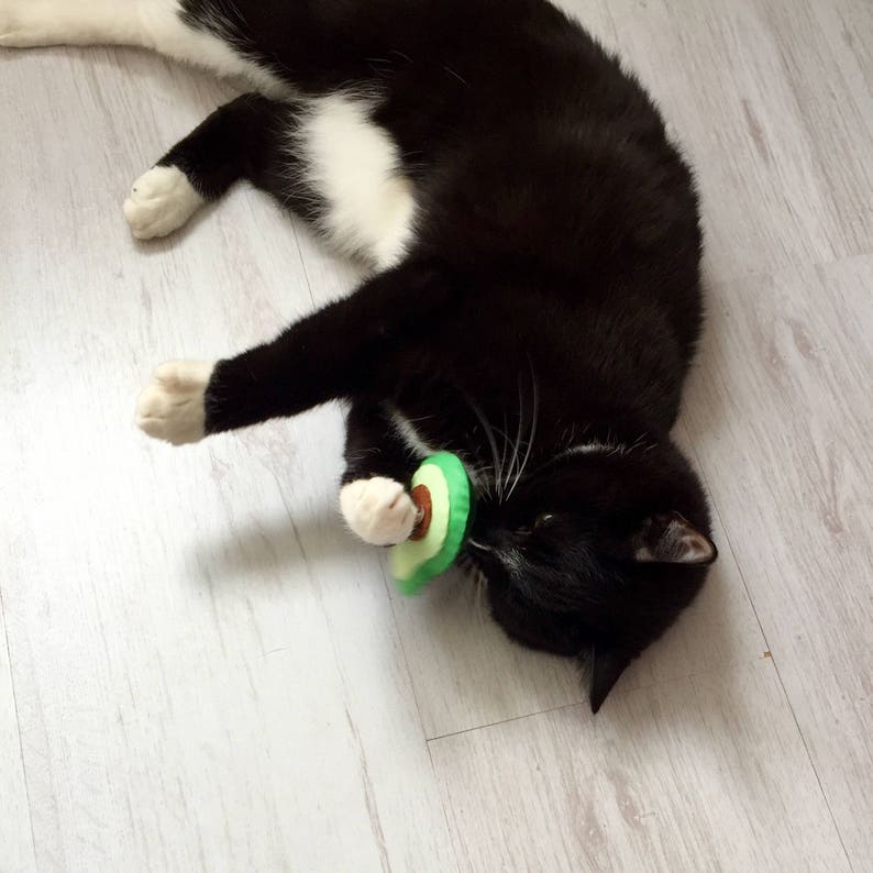 Avocado Felt Cat Toy handmade cat toy organic catnip vegan | Etsy