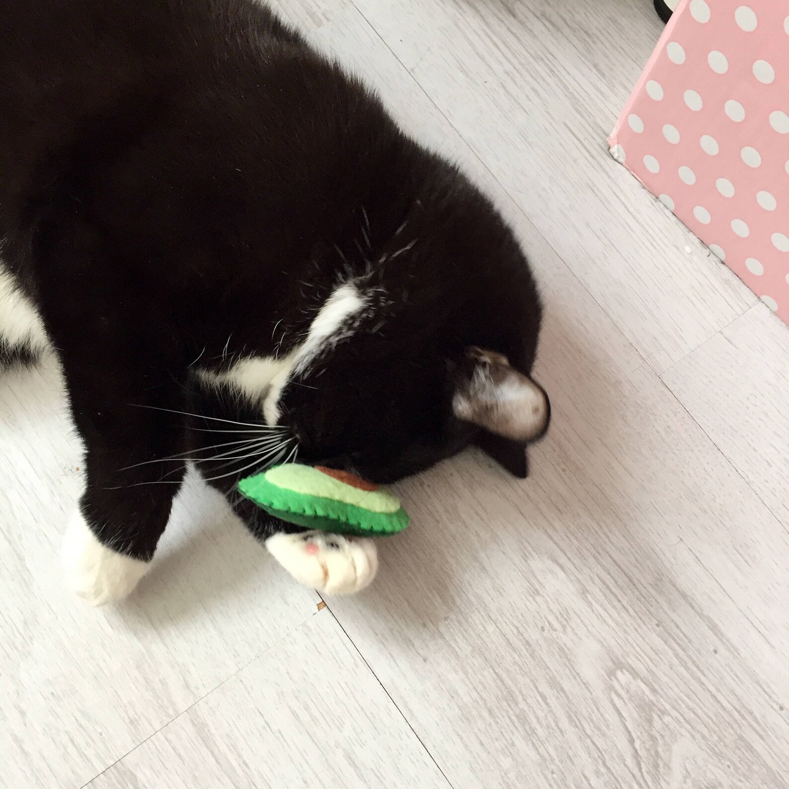 Avocado Felt Cat Toy handmade cat toy organic catnip vegan | Etsy