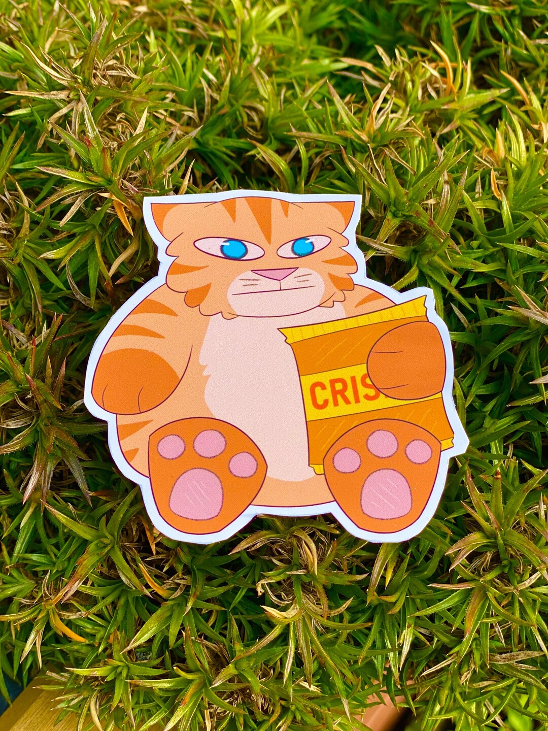 Funny Fat Cat Crisps Sticker / Cute Funny Cartoon Silly Gift for Teen ...