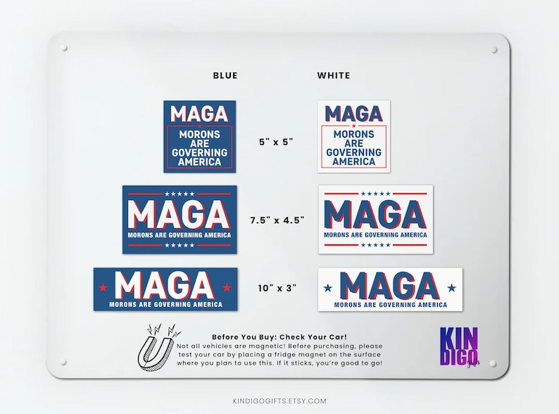 Morons Are Governing America Car Magnets, Funny Sarcastic Trendy Anti ...
