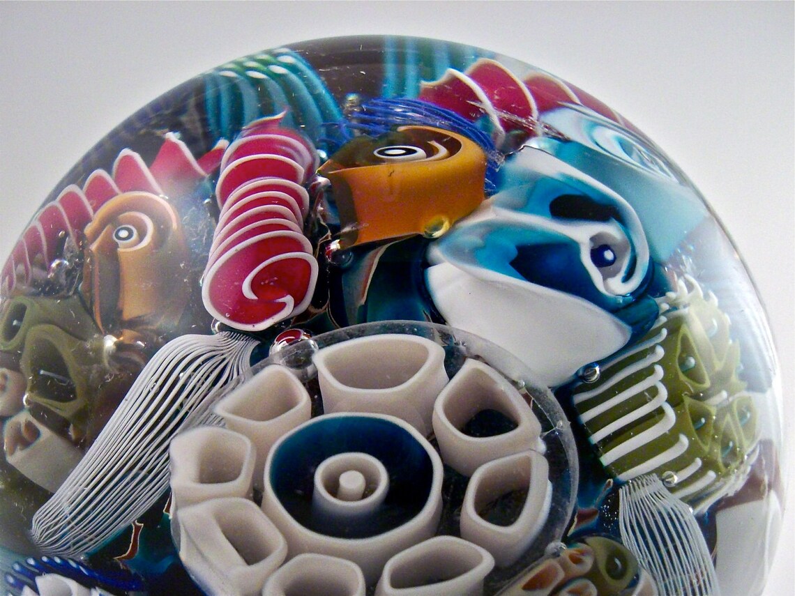 Ocean Reef Paperweight - Etsy