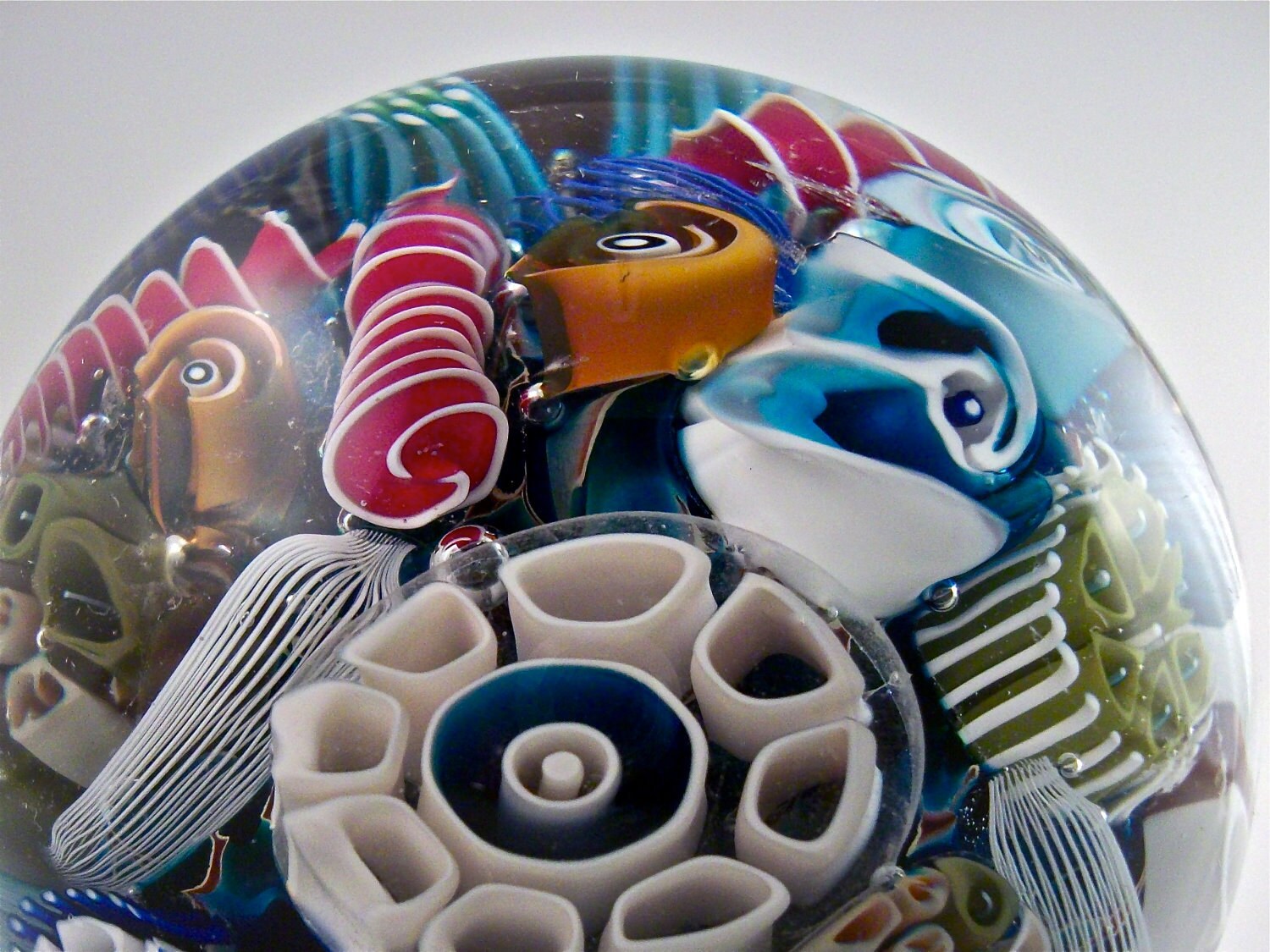 Ocean Reef Paperweight - Etsy