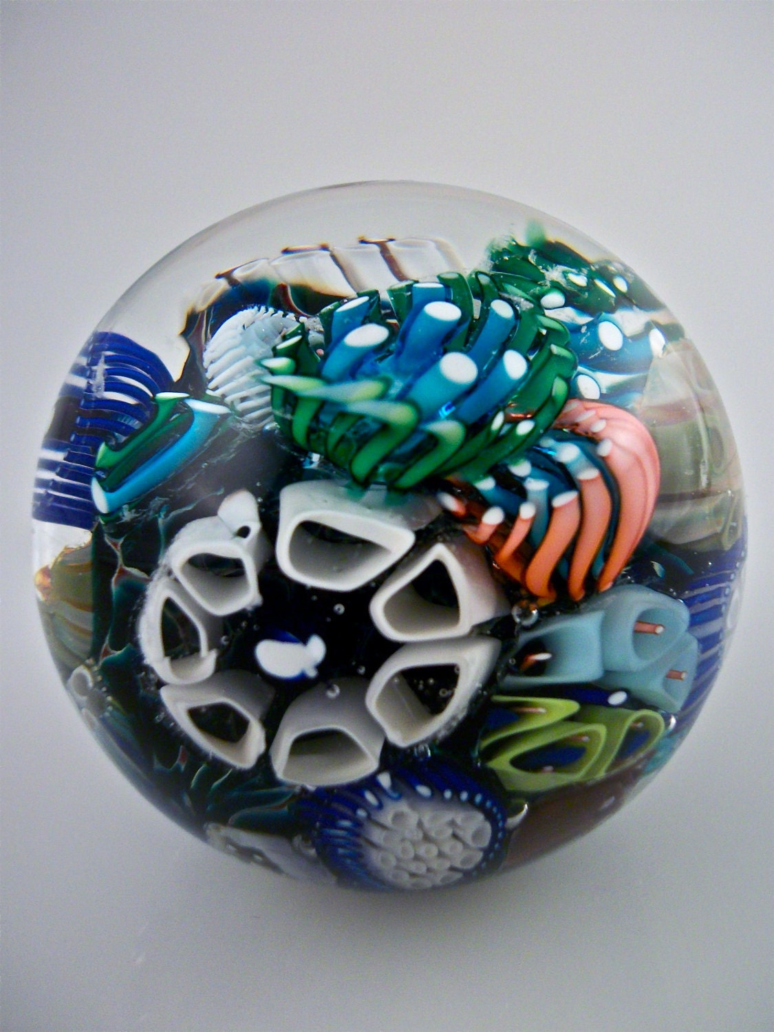 Ocean Reef Paperweight - Etsy