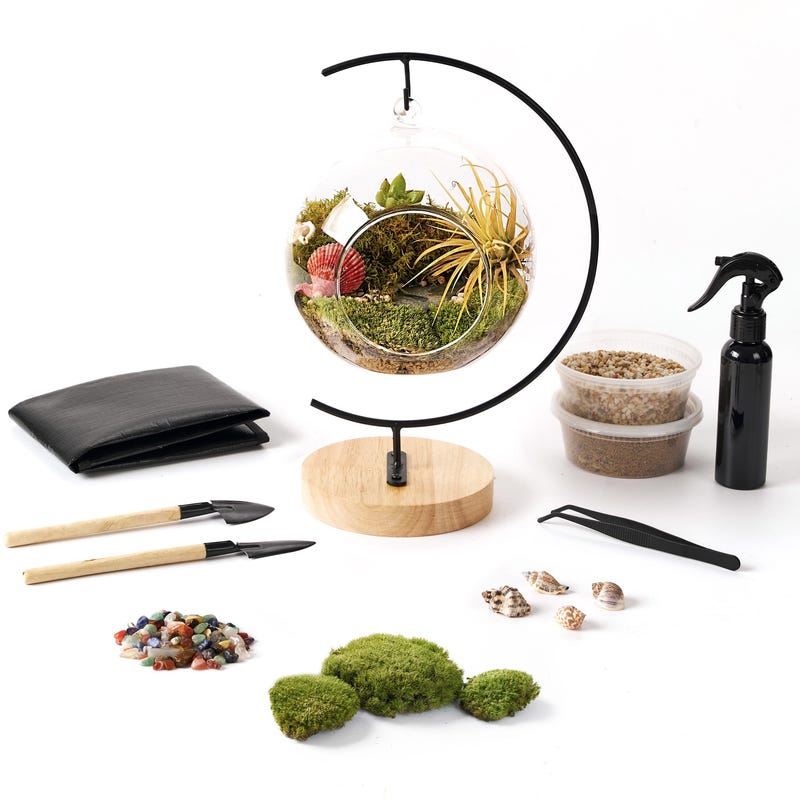 Terrarium Kit - Etsy