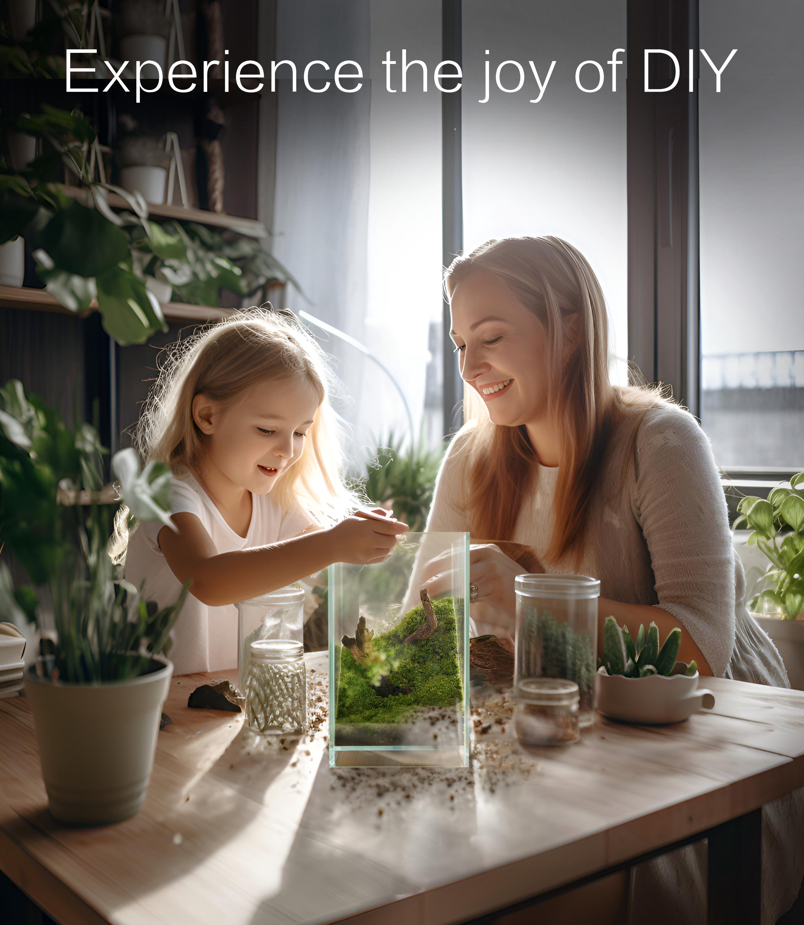 Terrarium Kit With Grow Light. Includes Glass Jar, Tool Set, Live Moss ...