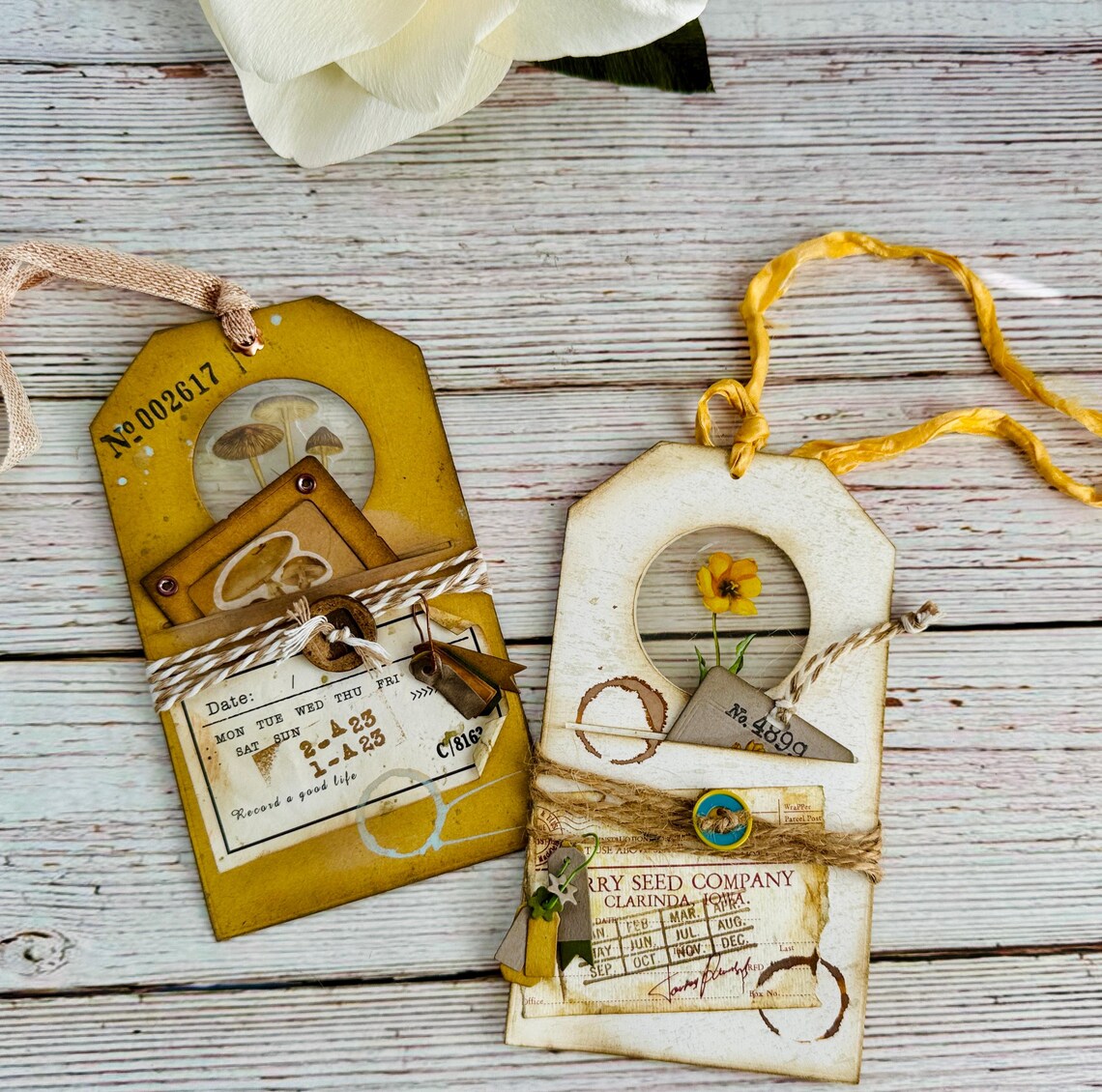 Vintage Specimen Tags, Junk Journal Ephemera, Pocket Tag - Etsy