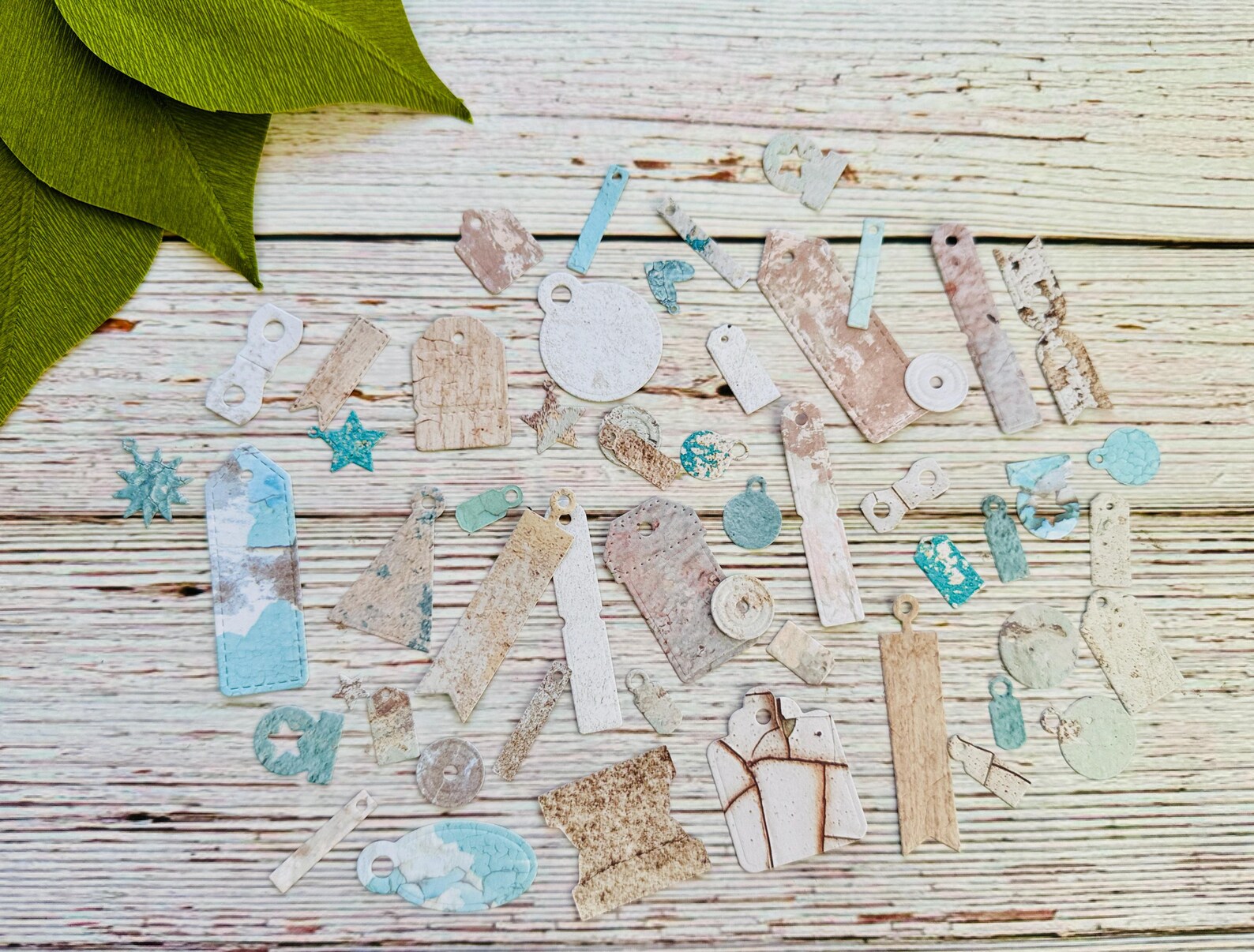 Junk Journal Kit, Scrapbooking Embellishment Kits, Specimen Slide ...